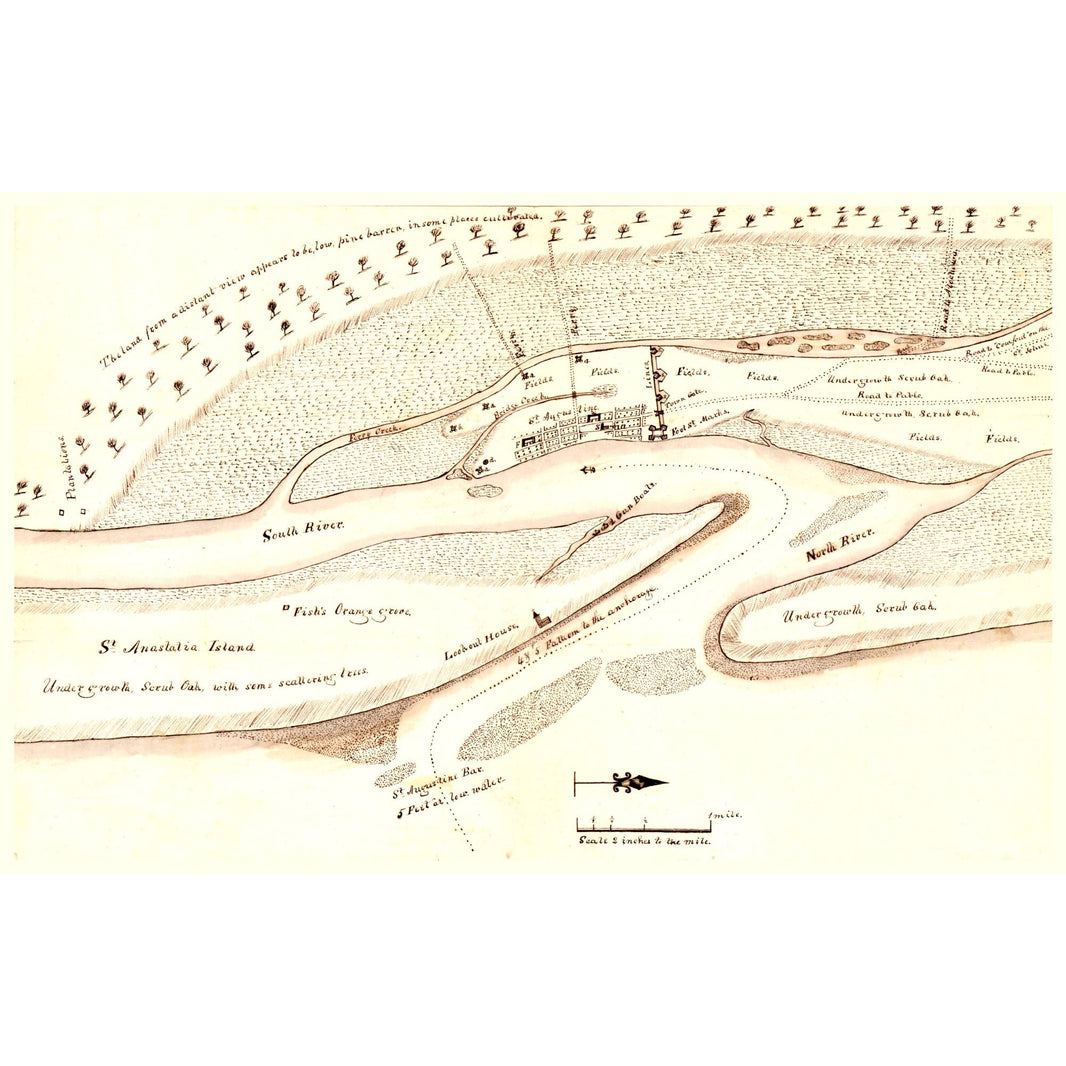 Historical City Maps - Florida – Maps of the Past