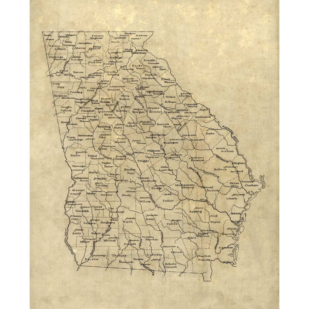 Historic State Map - Georgia - 1893 - Vintage Wall Art – Maps of the Past