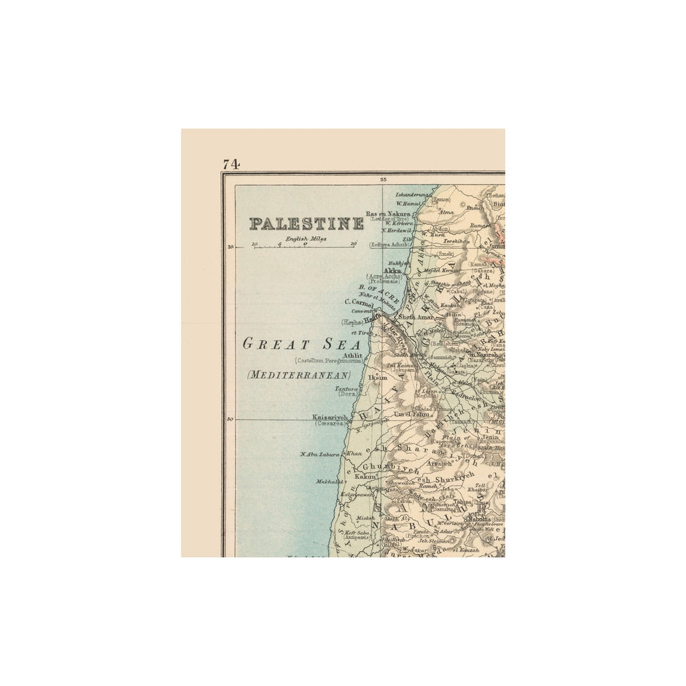 Historic Map - Palestine Israel Elevation- Bartholomew 1892 - 23 x 30 ...