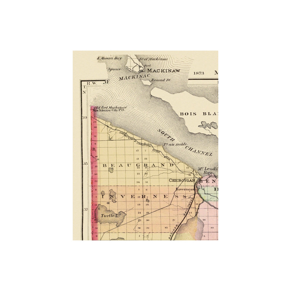 Historic County Map - Cheboygan County Michigan - Walling 1873 - 23 x ...