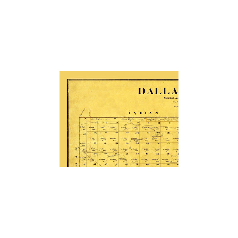 Historic County Map - Dallam County Texas - Beaumont 1889 - 28.51 x 23 ...
