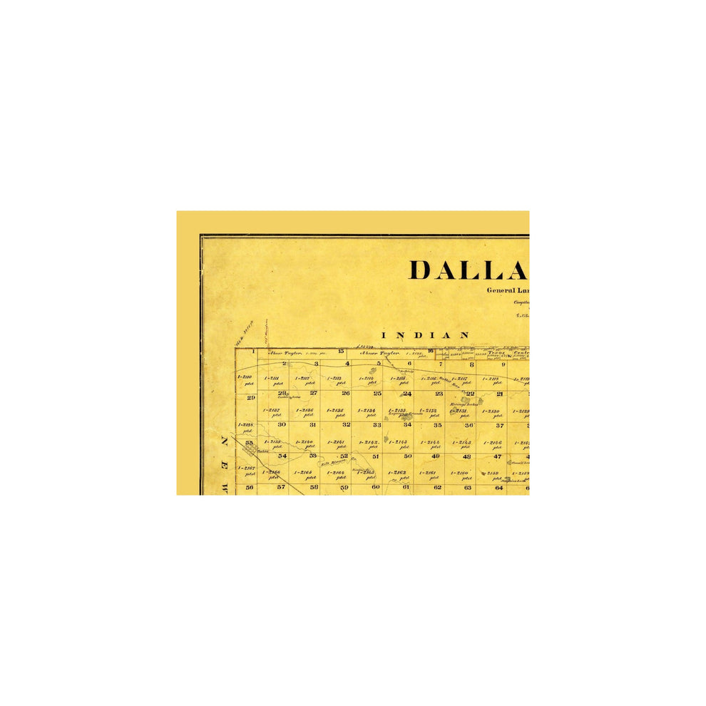 Historic County Map - Dallam County Texas - Beaumont 1889 - 28.51 x 23 ...